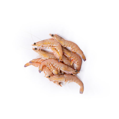 Shop Frozen Prawns Online Delivery in Sydney – Seafood Boss